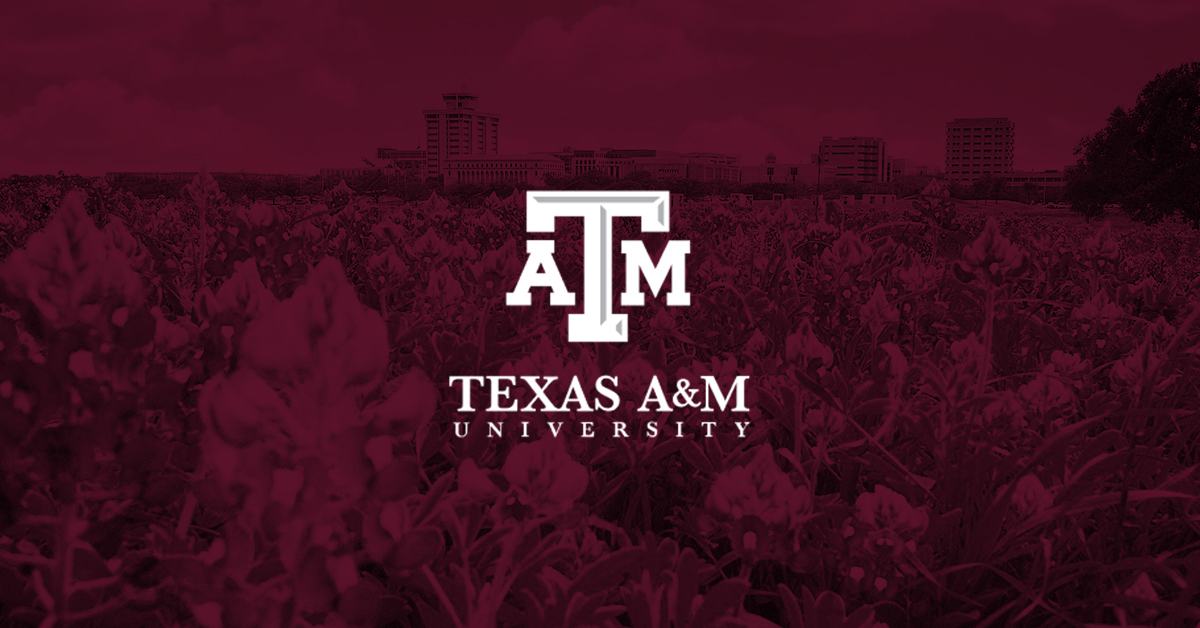 Success Story: Texas A&M METM